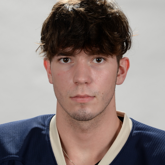 Noah Nelson Noah Nelson Corporate Partnerships Manager Kraft